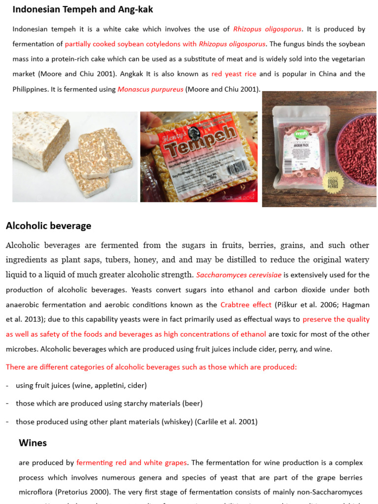 Indonesian Tempeh and Alcoholic Beverages | PDF | Yeast | Cider