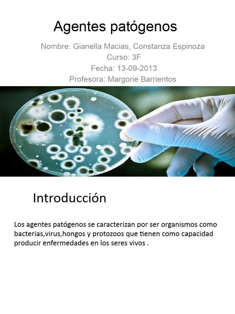 Agentes Patógenos | PDF | Infección | Malaria
