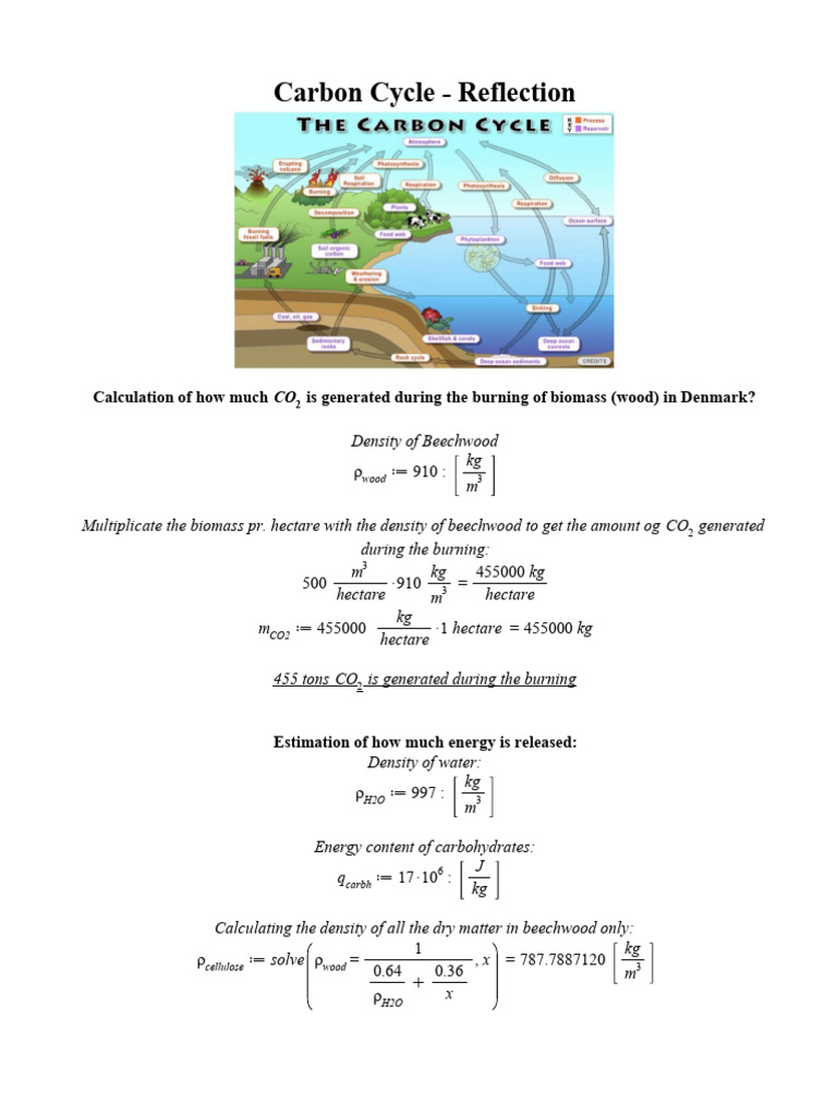 Carbon Cycle M | PDF | Carbon Dioxide | Earth Sciences