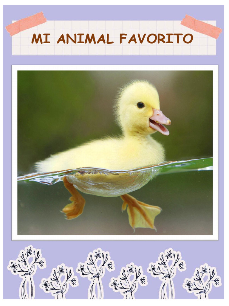 Pato Pdf
