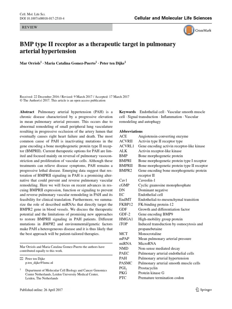 BMP Type II Receptor As A Therapeutic Target in Pu | PDF | Autophagy ...