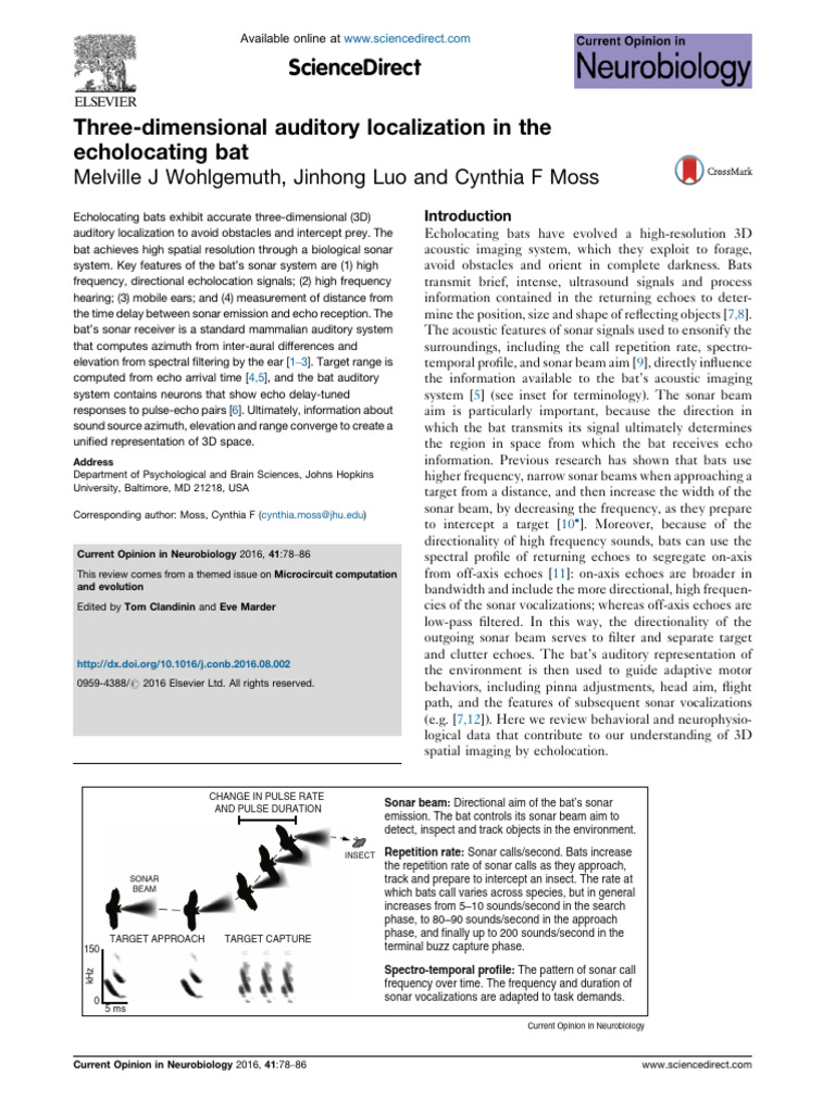 Three-Dimensional Auditory Localization in The Echolocating | PDF | Auditory System | Hearing