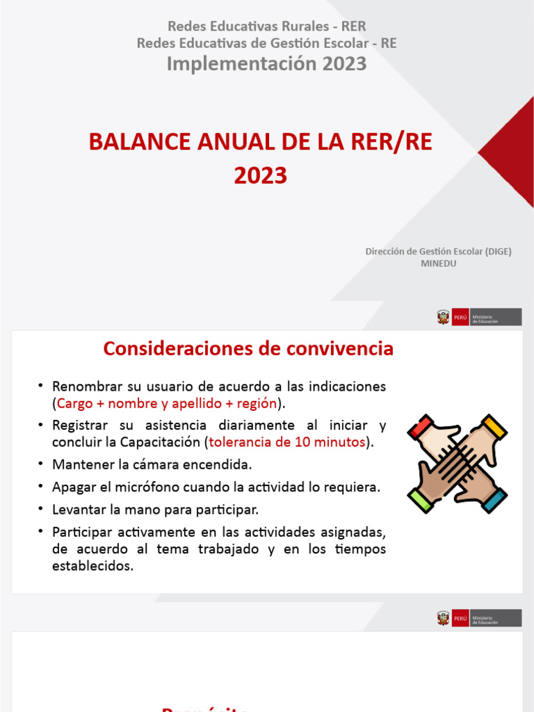 Balance Anual RER/RE 2023 | PDF