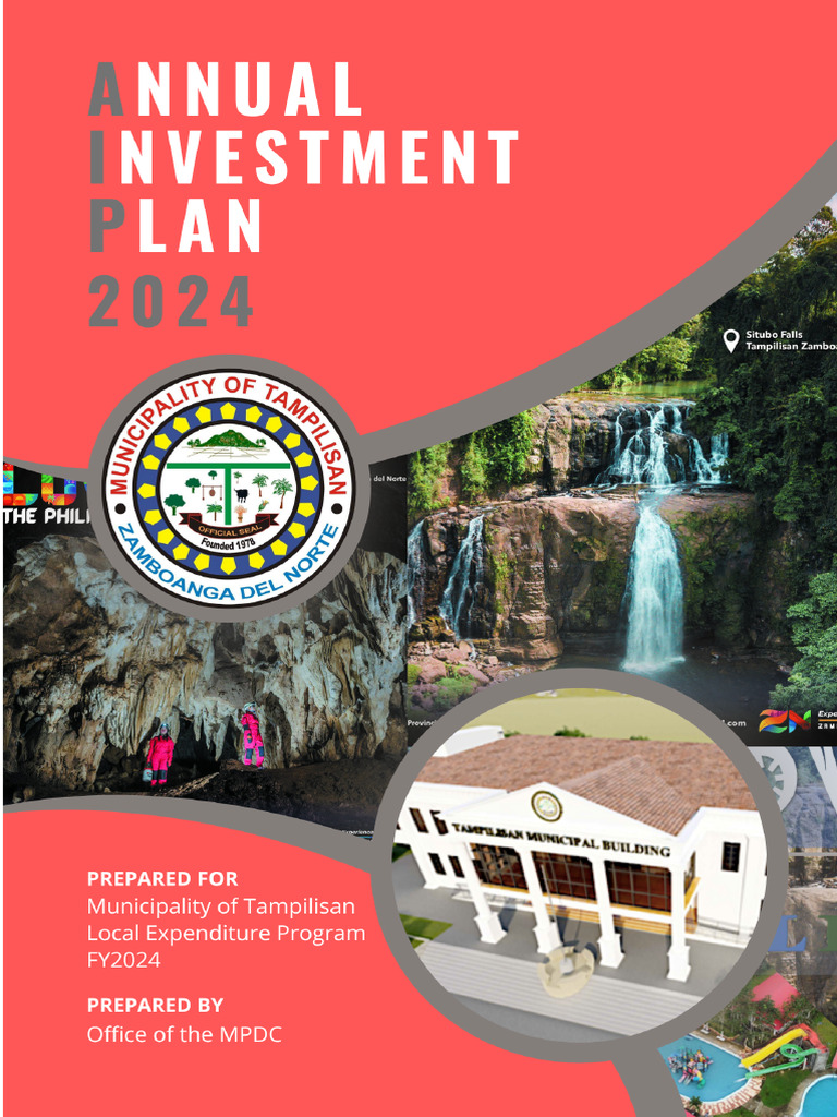 Tampilisan AIP 2024 Overview and Goals | PDF | Mortality Rate