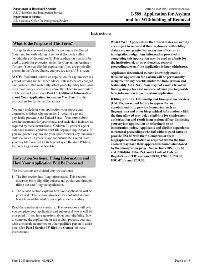 I-589 Asylum Application Guide | PDF