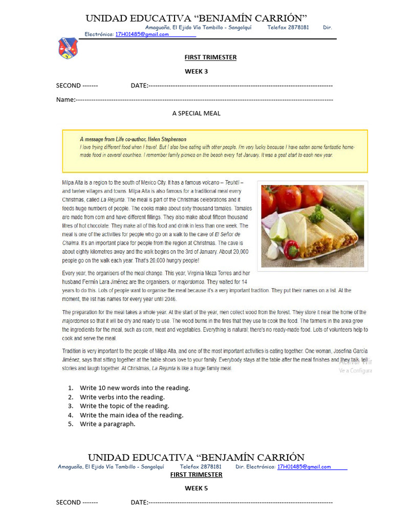Second English Activities | PDF | Linguistic Typology | Language Families
