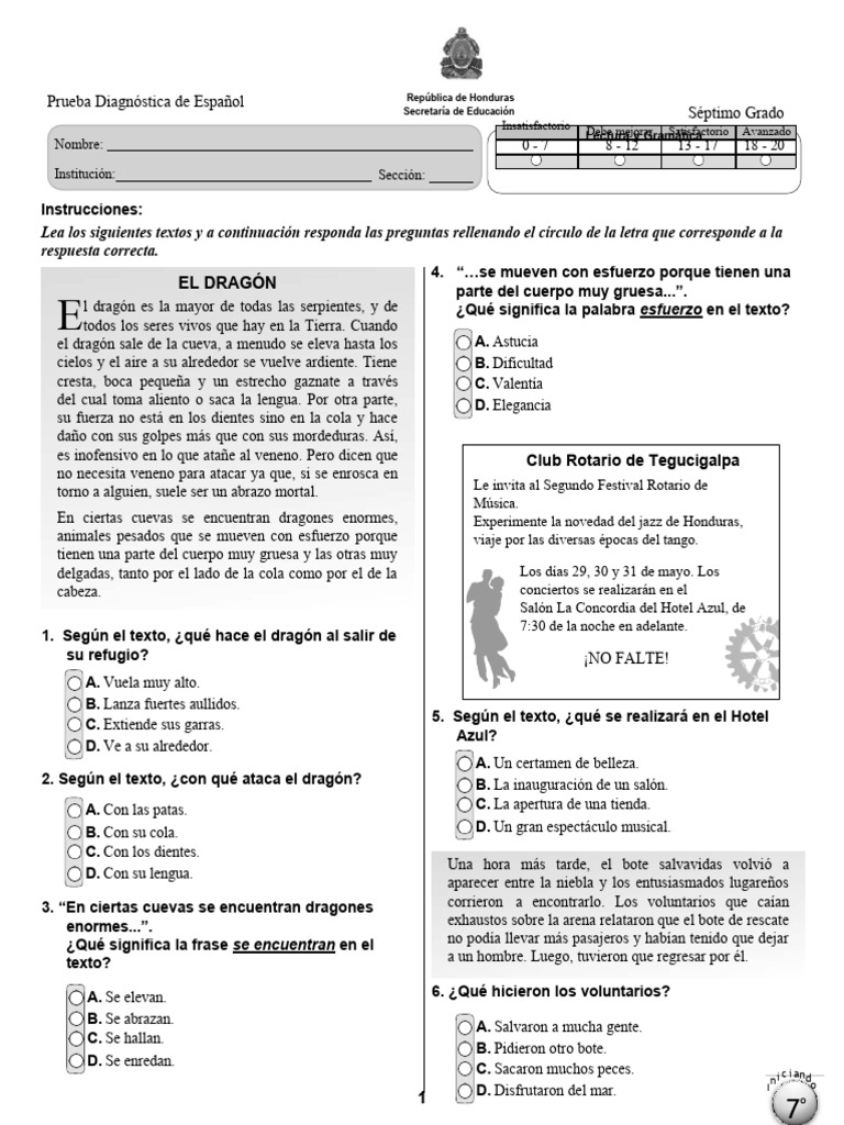 Prueba Diagnóstica 7º Español (2011) | PDF