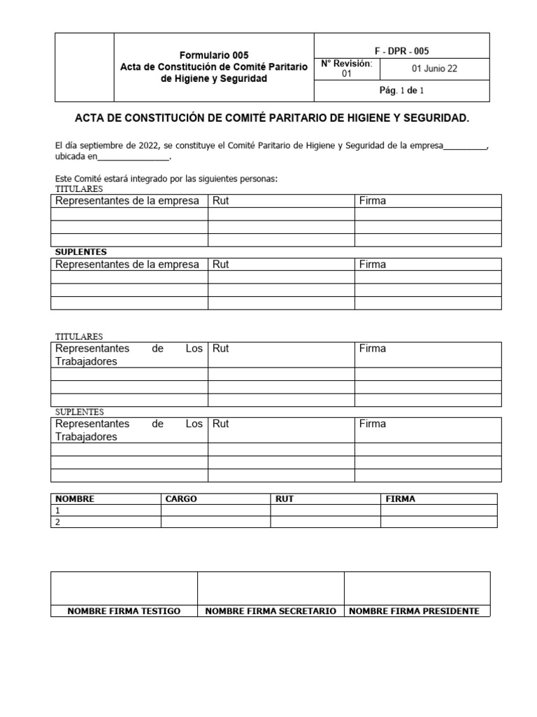 Acta de Constitucion Comite Paritario | PDF