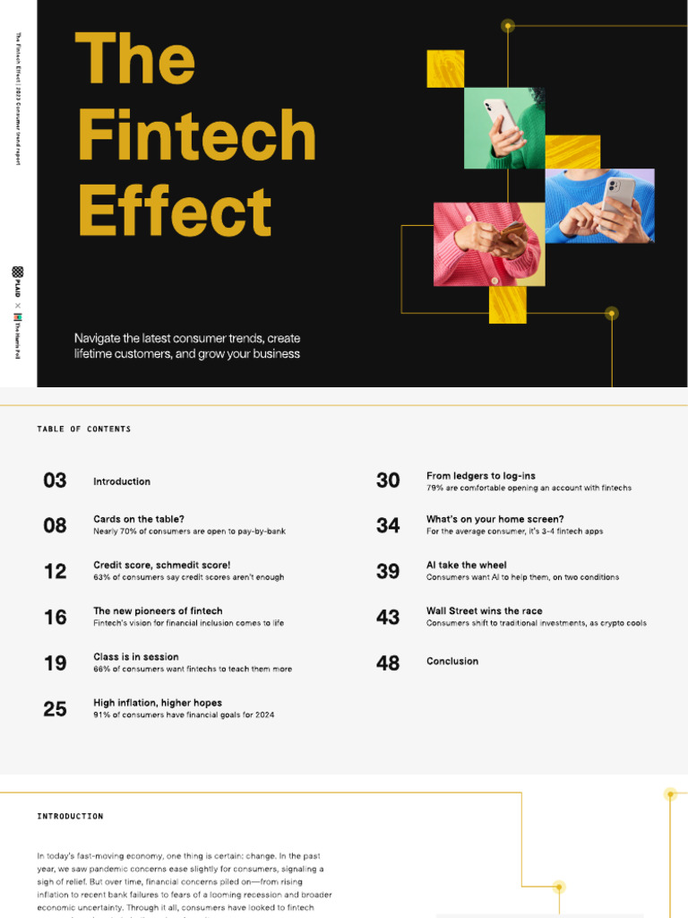 FinTech Effect Report 2023 | PDF | Cost Of Living | Loans