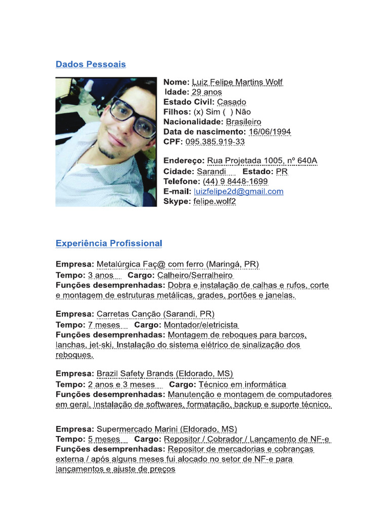 Curriculum Felipe Wolf 28112023 | PDF