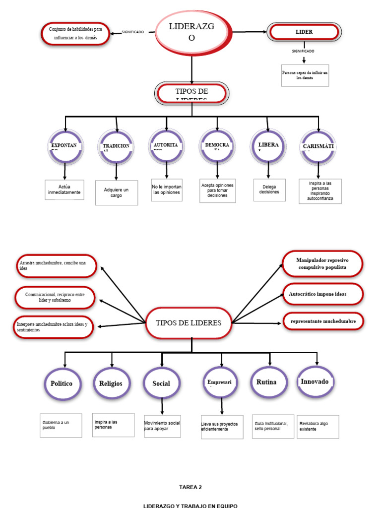 Mapa Conceptual Liderazgo | PDF | Liderazgo | Ciencias Políticas