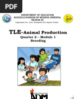 Grade 7 History Term 2 | PDF | West Africa | Slavery