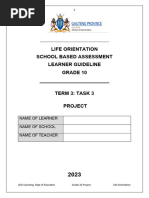 GR12 BSTD 2025 Research Project Eng | PDF | Corporate Social Responsibility