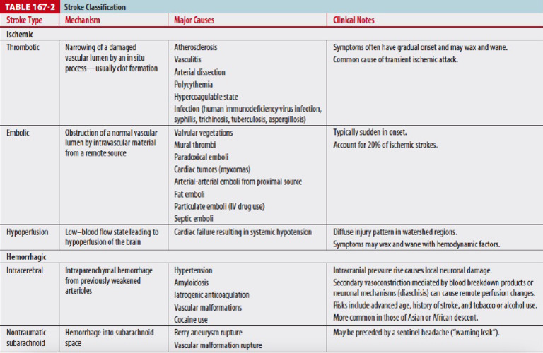Stroke Classification | PDF