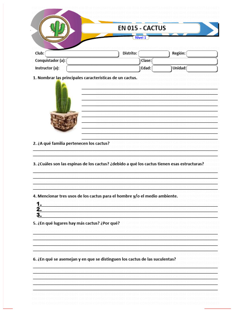 Preguntas - Cactus | PDF
