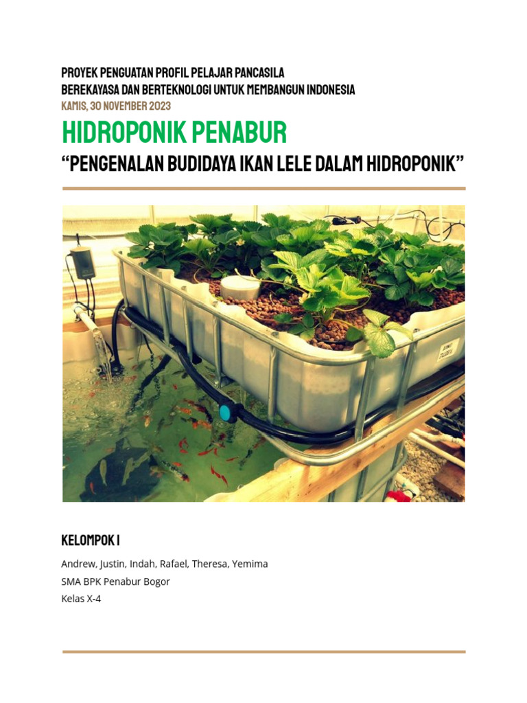 Pengenalan Budidaya Ikan Lele Dalam Hidroponik | PDF