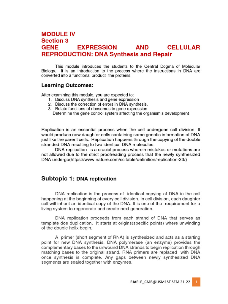 SCI ED 311 MODULE IV 3 DNA Replication | PDF | Dna Replication | Dna