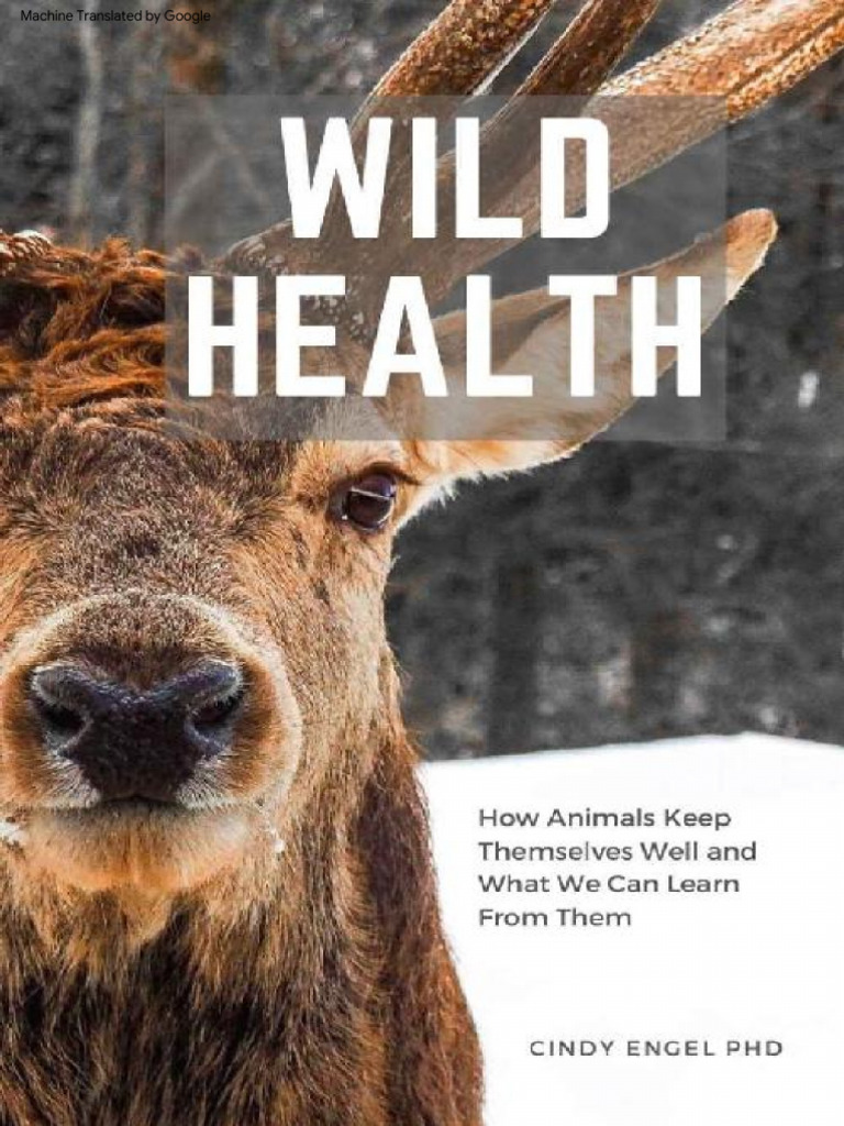Wild Health How Animals Keep Themselves Well and What We Can Learn From ...