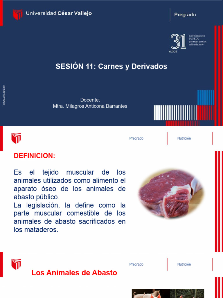 Sesion 11.brom. - Tagged | PDF | Carne | Color