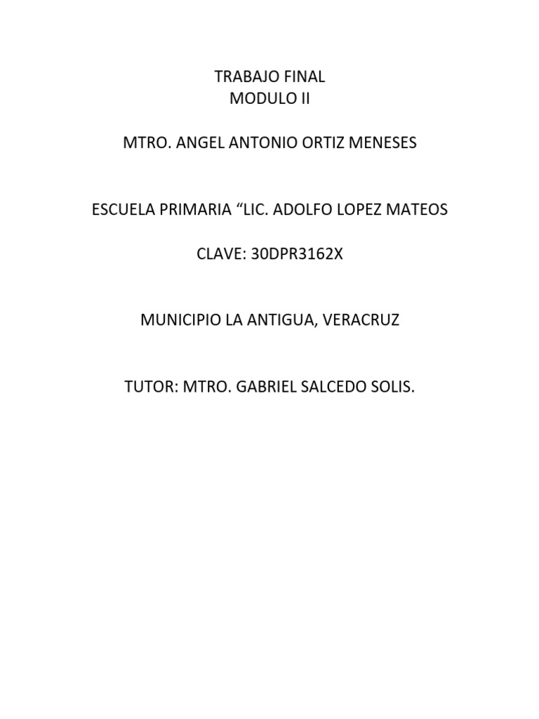 Trabajo Final Modulo Ii | PDF