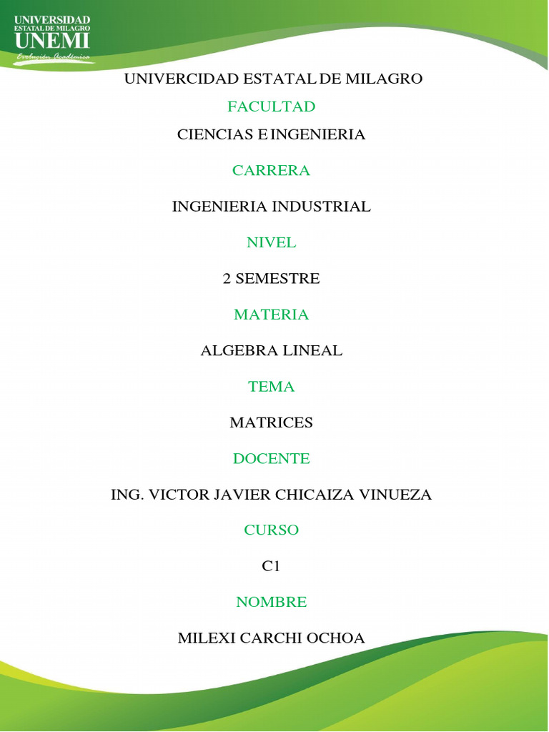 Algebra Lineal Matrices | PDF