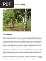 Crown Melbourne Restaurants Conservatory Price List | PDF | Workweek ...