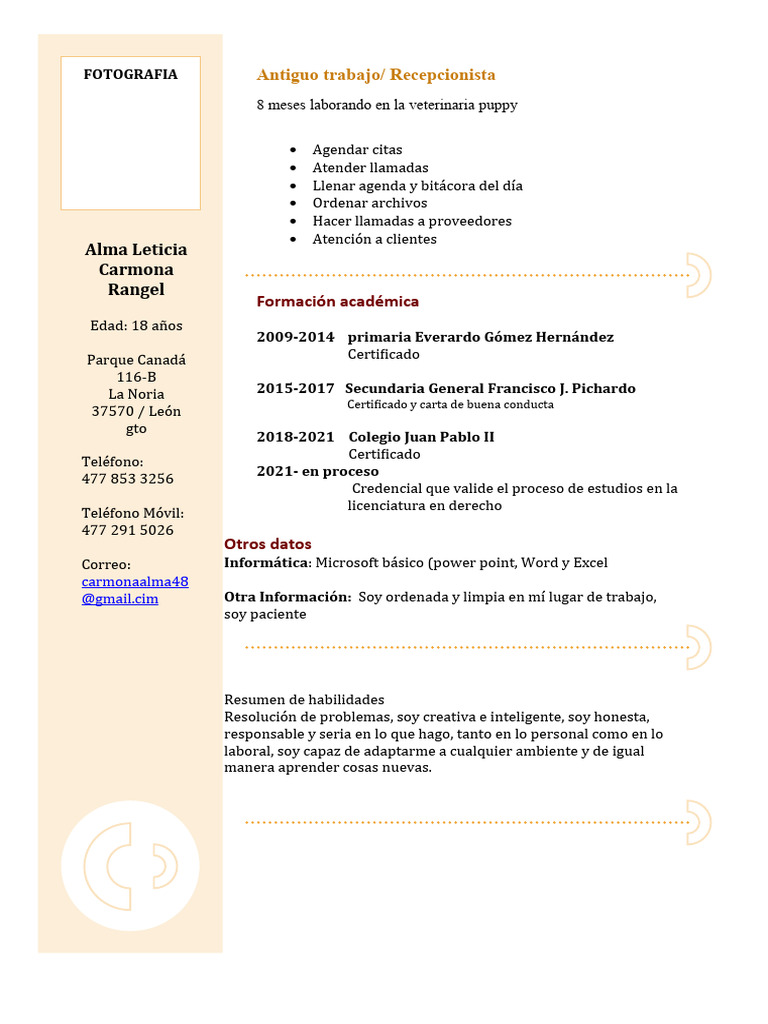 Curriculum Vitae Modelo3b Arena Word | PDF