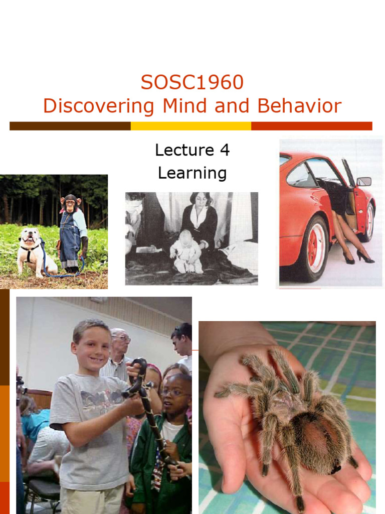 Lecture 4 Learning | PDF | Classical Conditioning | Learning