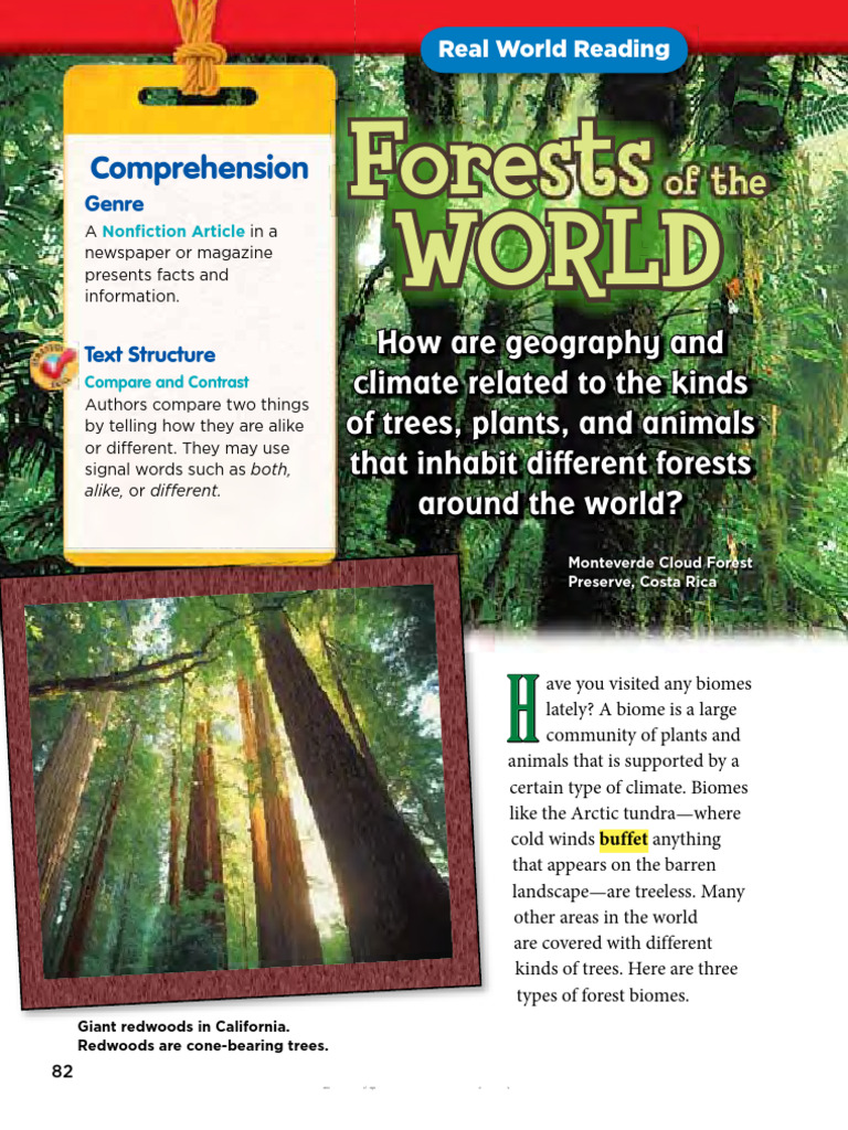 Compare and Contrast Reading | PDF | Rainforest | Forests