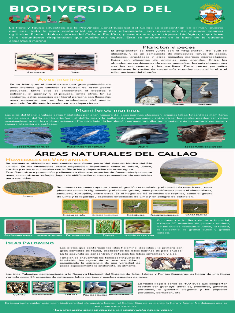 Biodiversidad Del Callao | PDF | Aves | Organismos