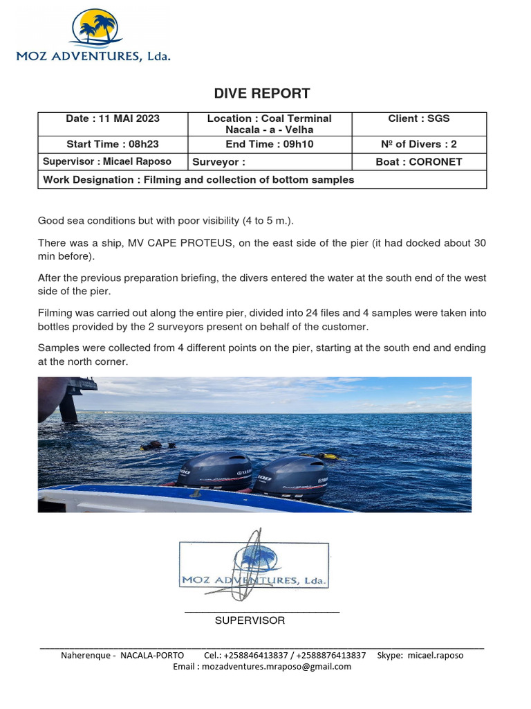Dive Report | PDF