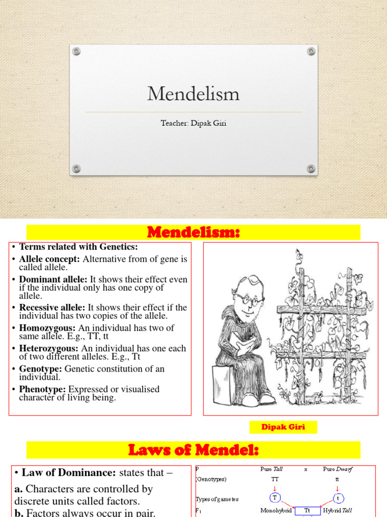BIOLOGY Genetics - Mendelism | PDF | Dominance (Genetics) | Allele