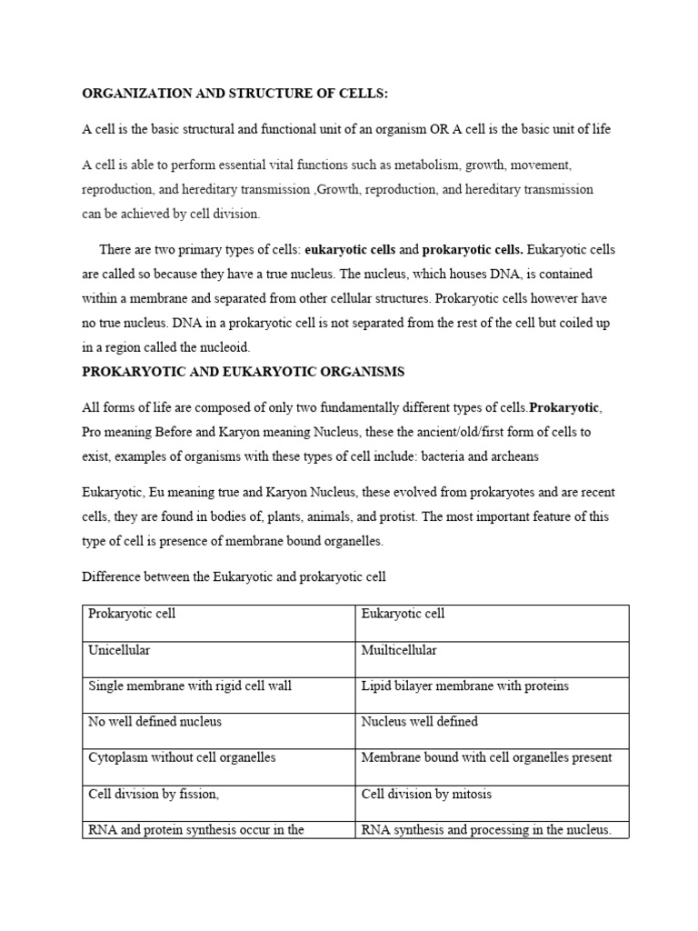 The Cell | PDF | Cell (Biology) | Cell Membrane