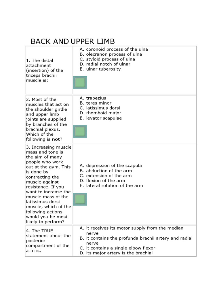 Upper Limb Anatomy Quiz Questions | PDF | Arm | Thumb