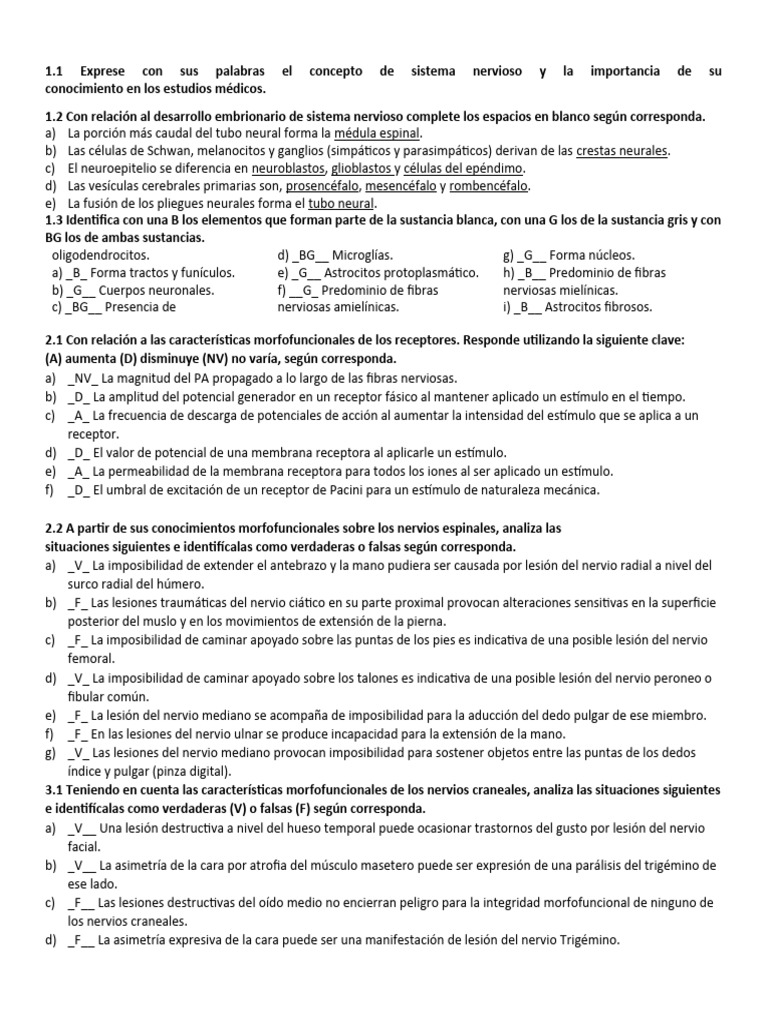 Preguntas para Repasar | PDF | Cerebelo | Sistema nervioso central