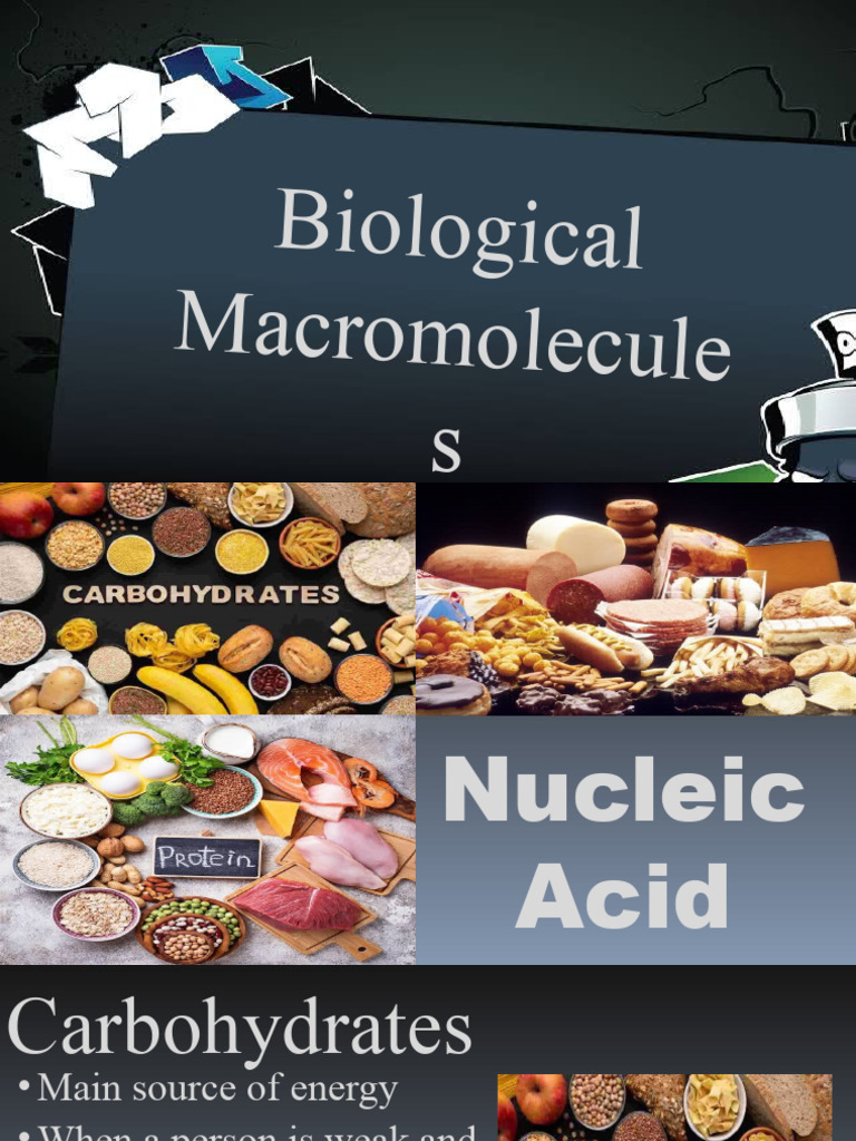 Lesson 10 Biological Macromolecules | PDF | Rna | Carbohydrates