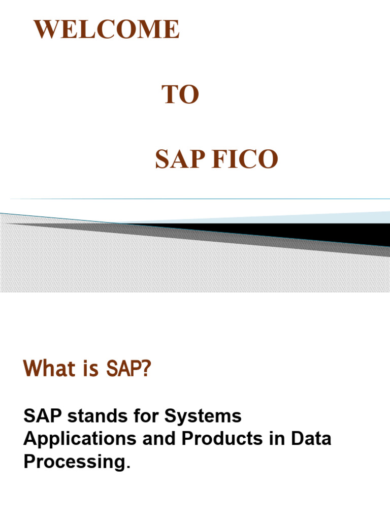 Sap Fico | PDF | Accounts Payable | Payments