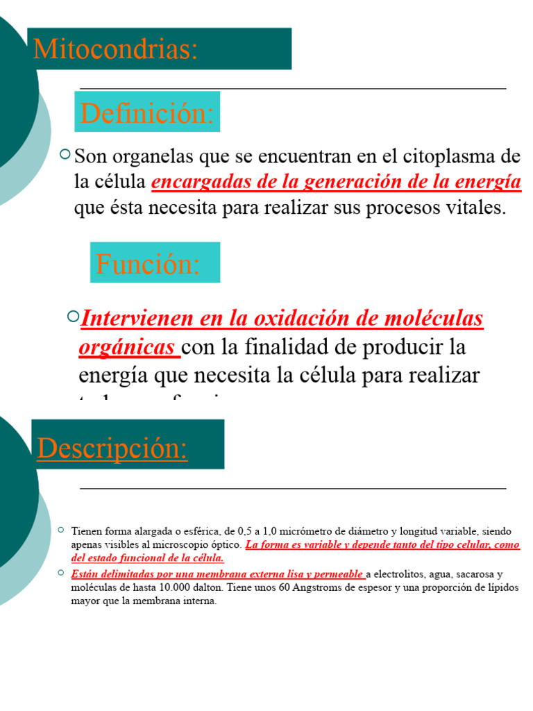 CLASE10 - Mitocondrias - RespiraciÃ N Celular | PDF | Trifosfato de adenosina | Mitocondria