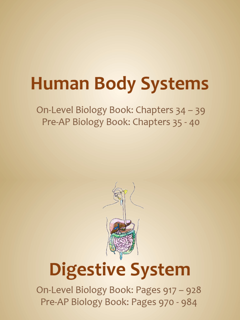 Human Body Systems Unit-8 6404 Ppt-1 | PDF | Human Body | Integumentary ...