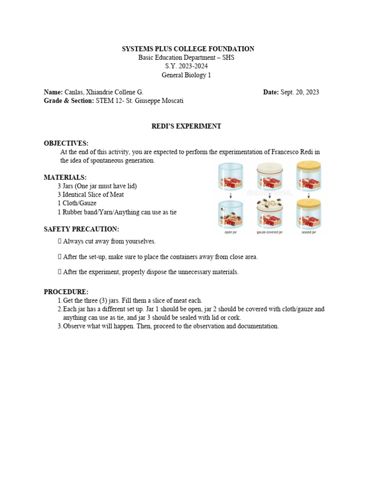 Redi Experiment Sheet | PDF