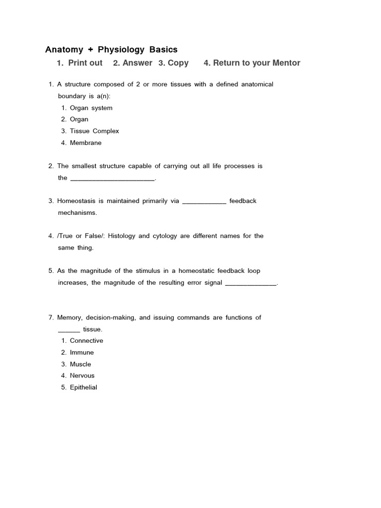 Anatomy Physiology Exam Questions | PDF | Artery | Pancreas