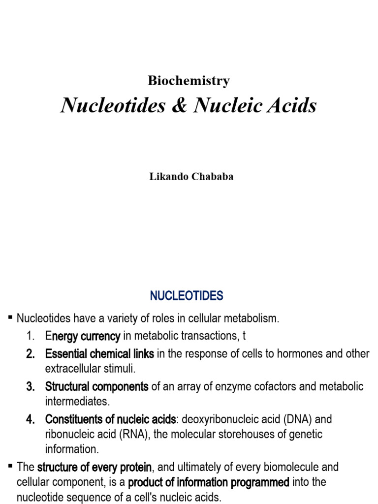 Nucleotides and Nucleic Acids | PDF | Rna | Dna