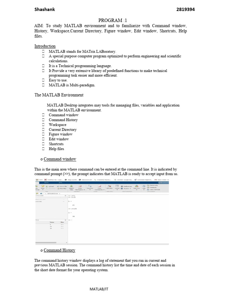 MATLAB 2819394 Lab File | PDF | Matrix (Mathematics) | Matlab