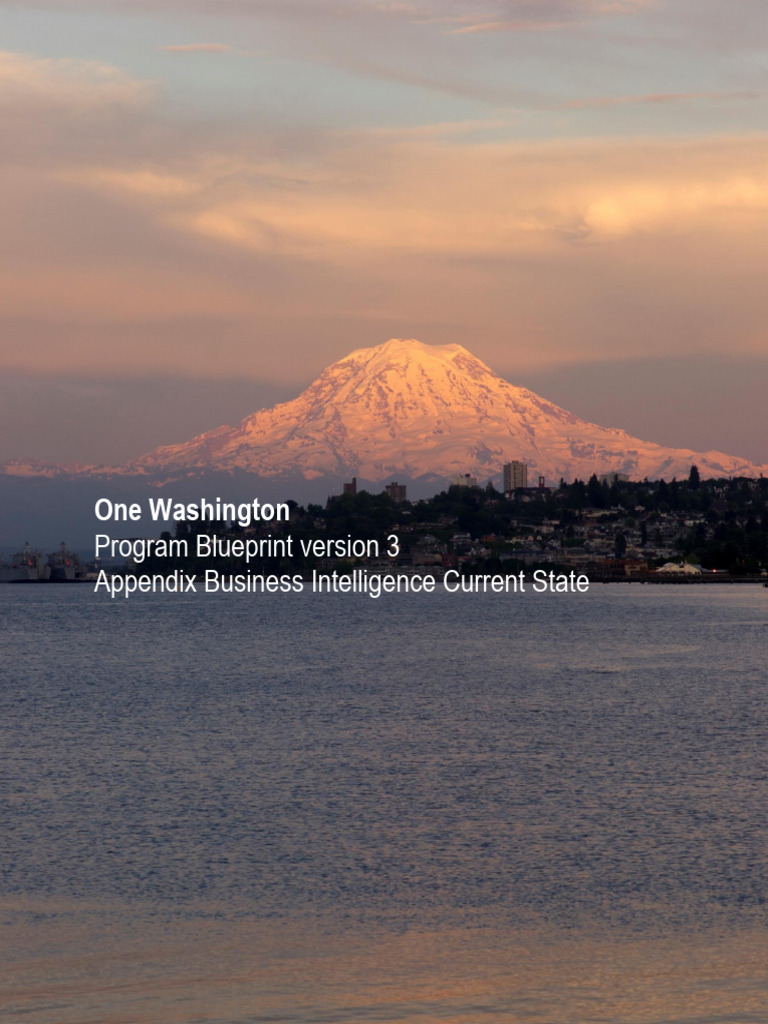 Appendix Business Intelligence | Download Free PDF | Business ...