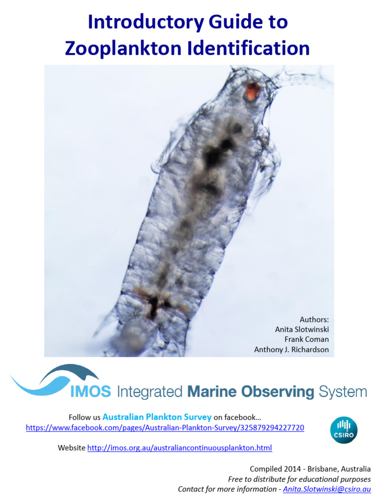 Introductory Guide To Zooplankton Identification: Australian Plankton ...