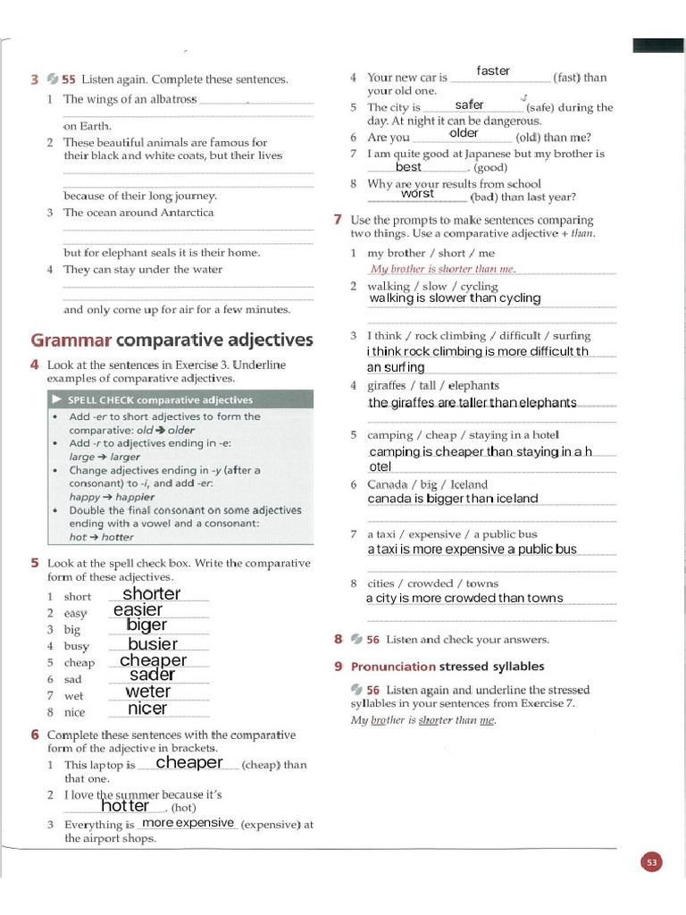 Unit 5 and 6 | PDF