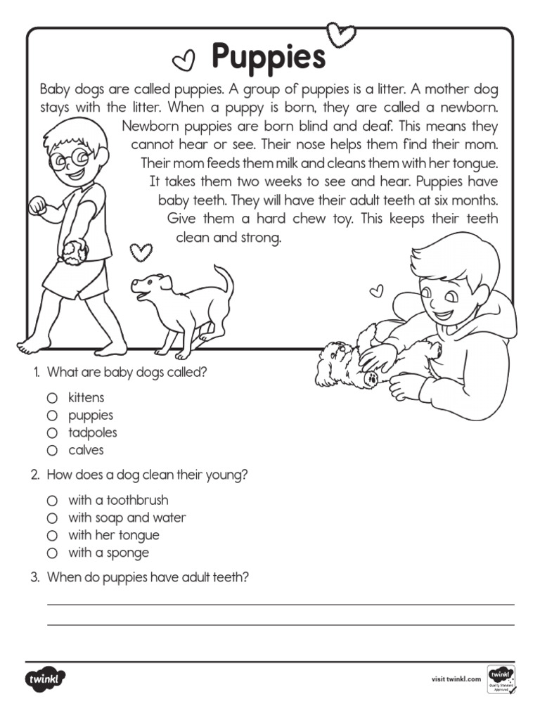 BW First Grade Puppies Reading Passage Comprehension Activity | PDF