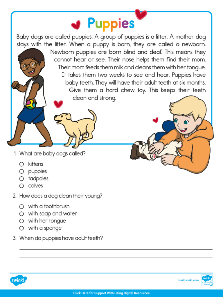 Digital First Grade Puppies Reading Passage Comprehension Activity | PDF