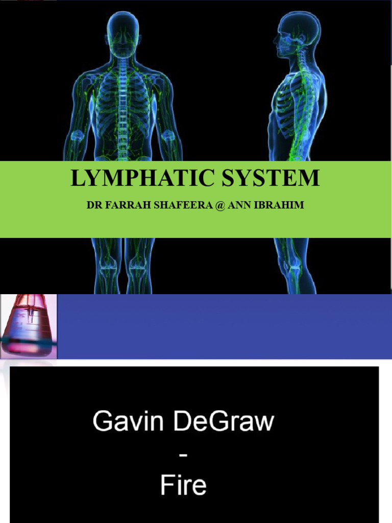 2020 Lymphatic System | PDF | Lymph Node | Lymphatic System