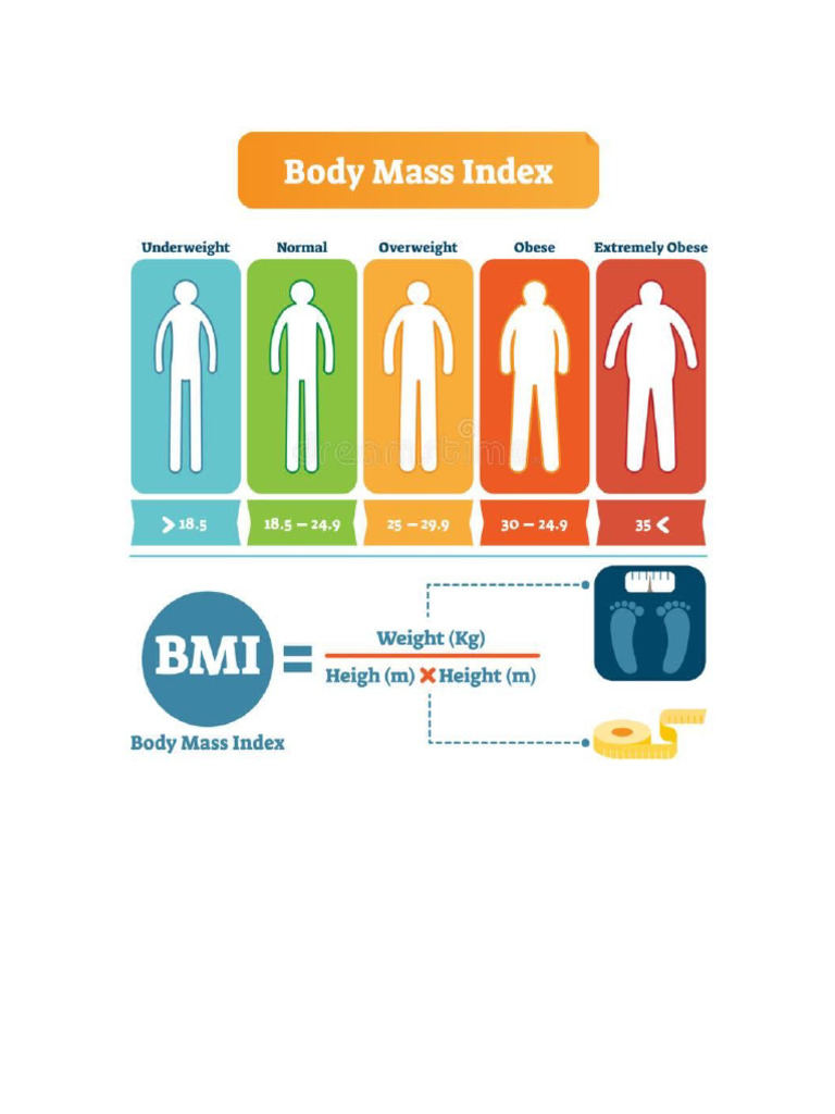 BMI | PDF
